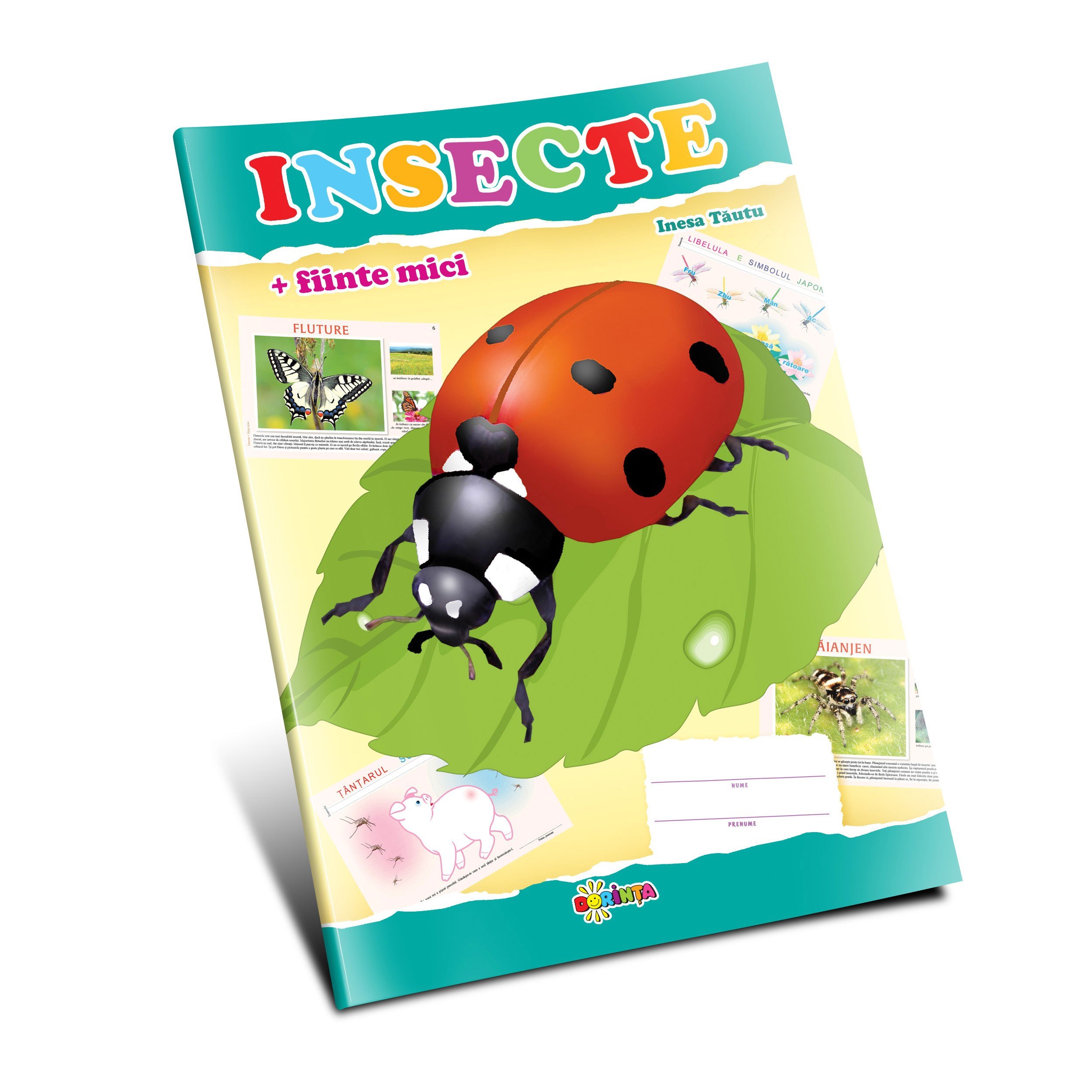 Mapa - Insecte | Libraria Dorinta Romania