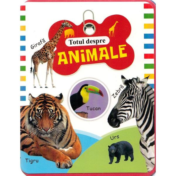 Totul despre animale | Libraria Dorinta Romania